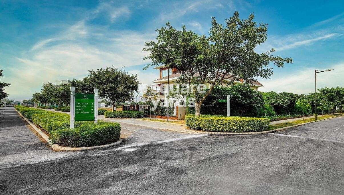 DLF Alameda in Sector 73, Gurgaon @ 4.50 Cr - Floor Plans, Location Map ...