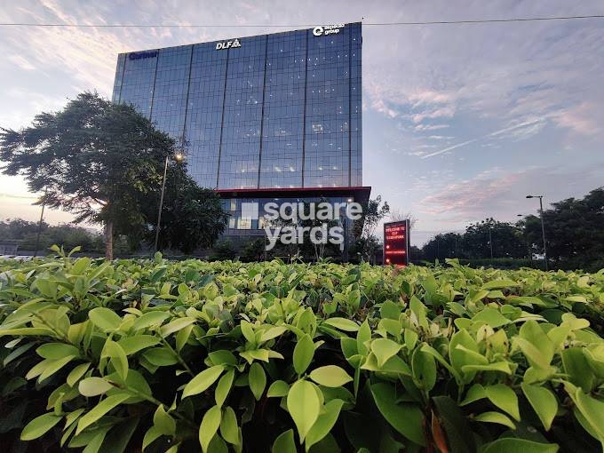 DLF Cyber Park Sector 20 Gurgaon | Price List, Floor Plan & RERA Details