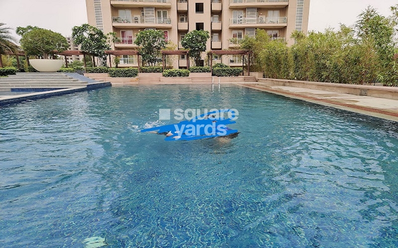 DLF The Primus Sector 82A Gurgaon | Price List, Floor Plan & RERA Details