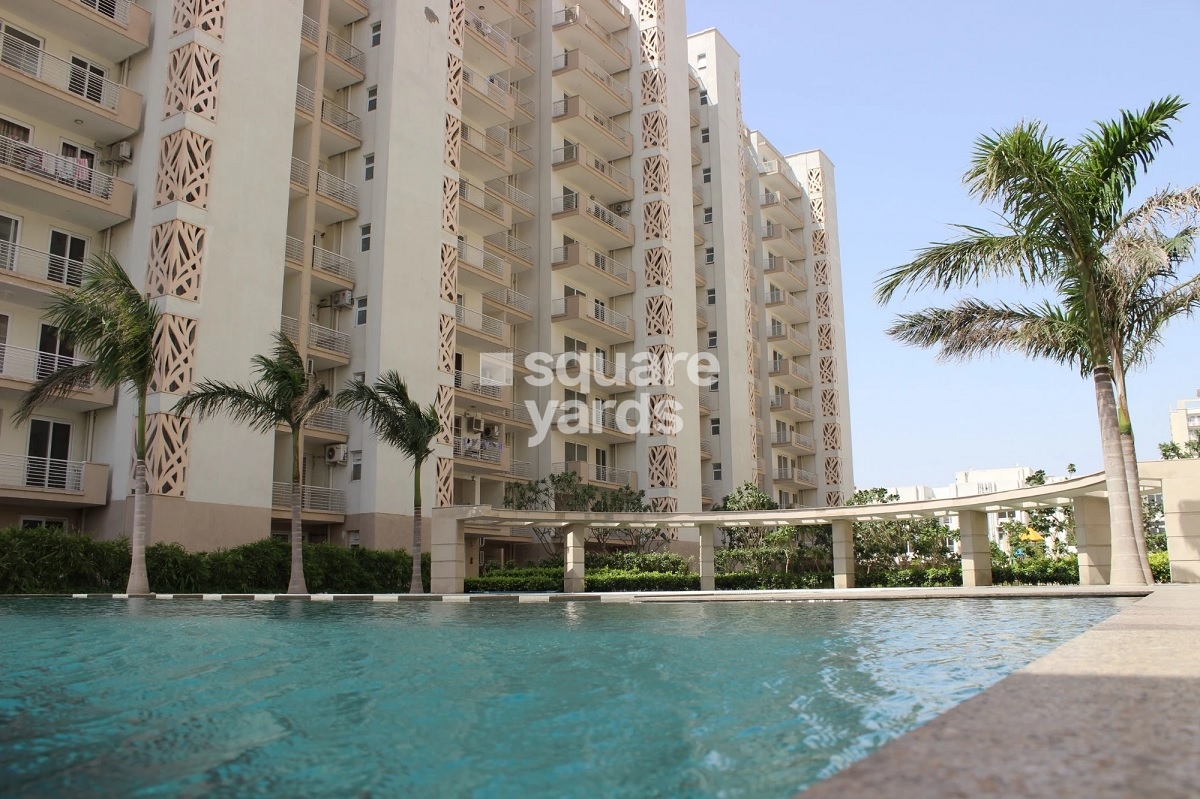Tulip Ivory in Sector 70, Gurgaon @ 2.15 Cr - Floor Plans, Location Map ...